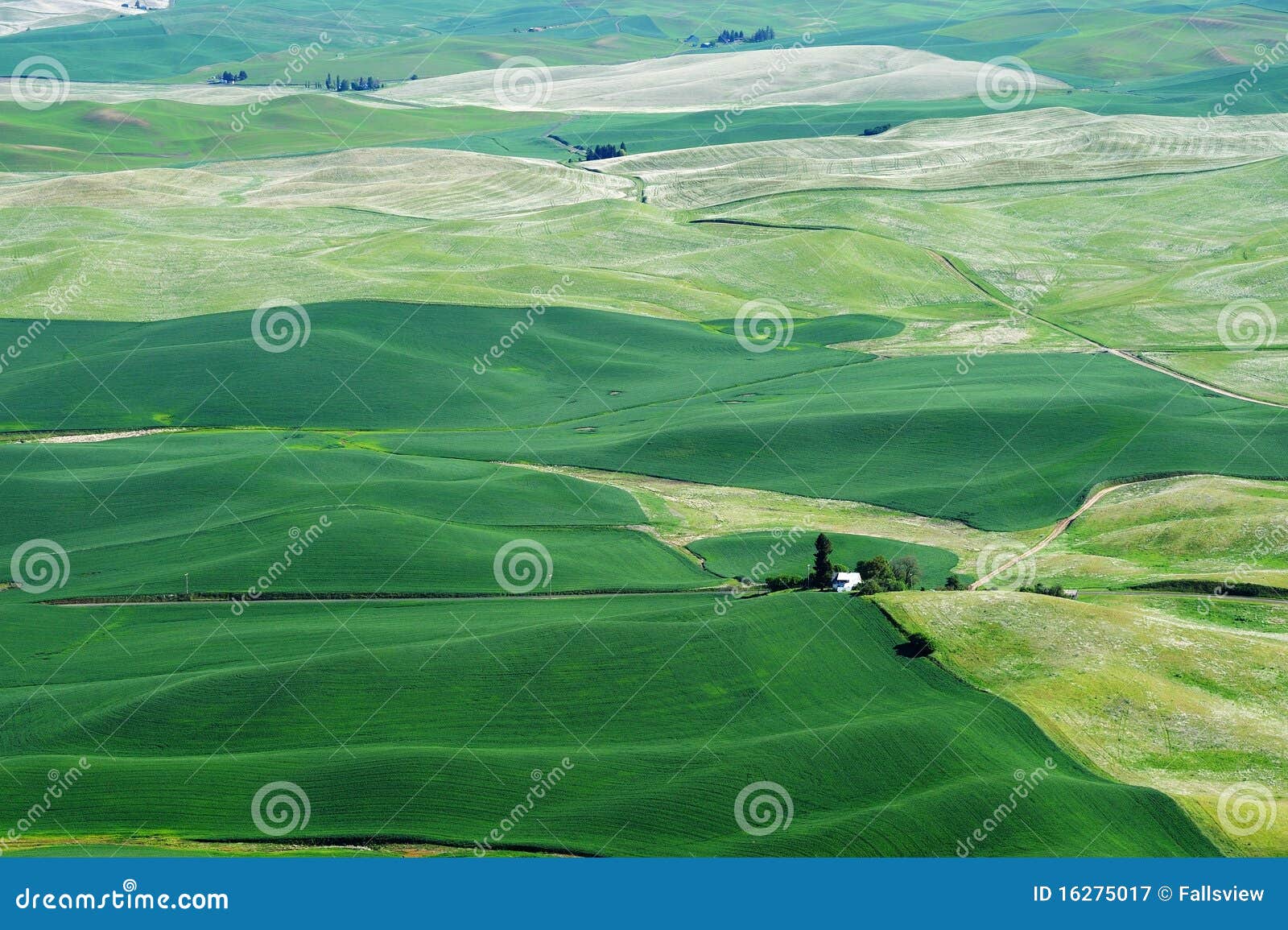Palouse wheat fields stock image. Image of village, rural - 16275017