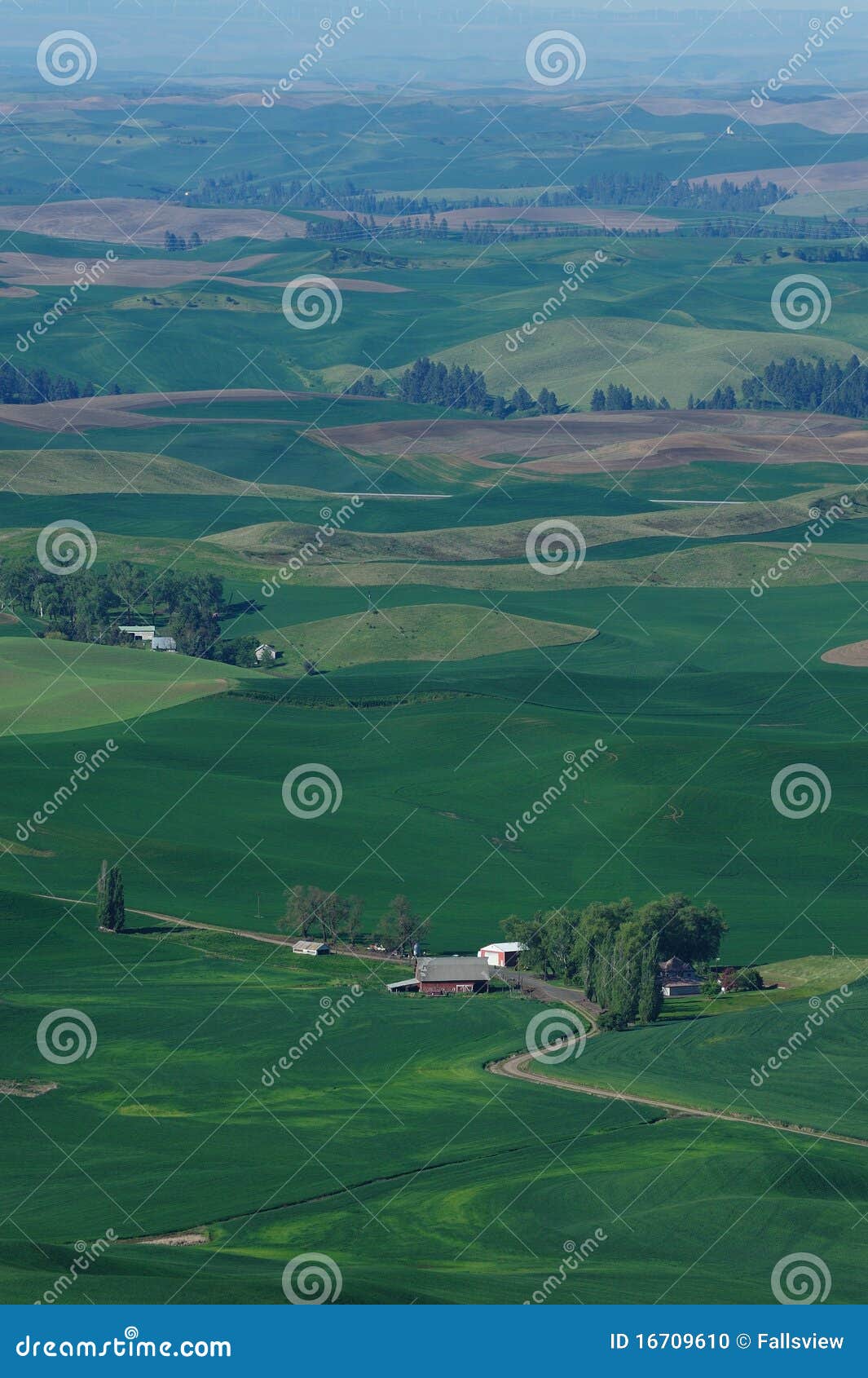 Palouse wheat fields stock photo. Image of farm, village - 16709610