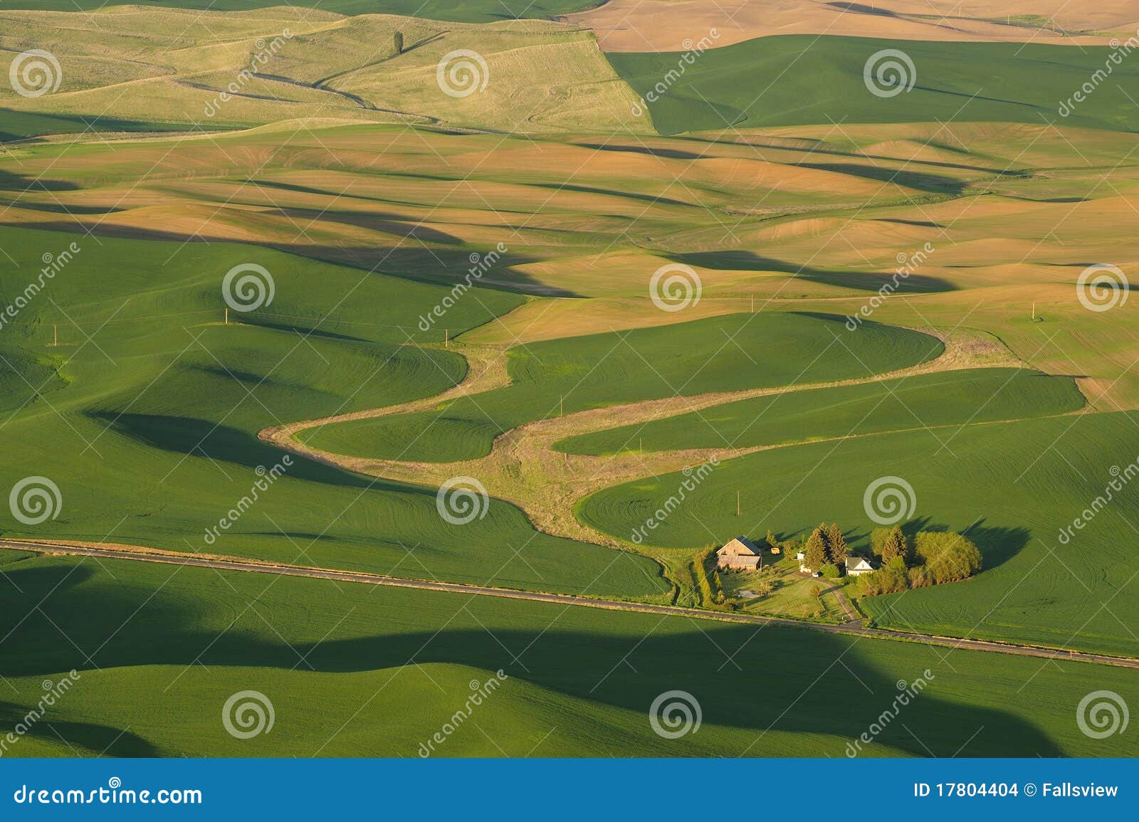 Palouse Wheat Fields at Sunset Stock Photo - Image of steptoe, farm ...