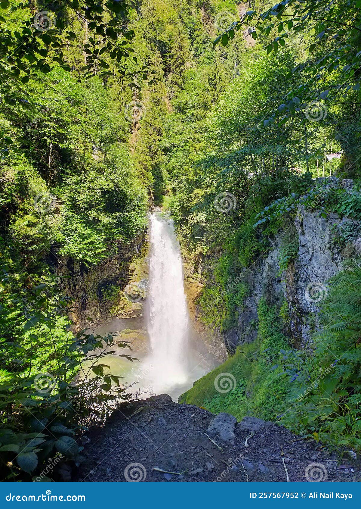 Palovit Waterfall in Rize in Turkey Stock Photo - Image of jungle ...