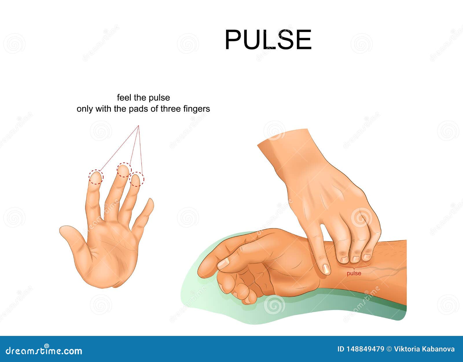 Palpation Stock Illustrations, Vecteurs, & Clipart – (116 Stock ...