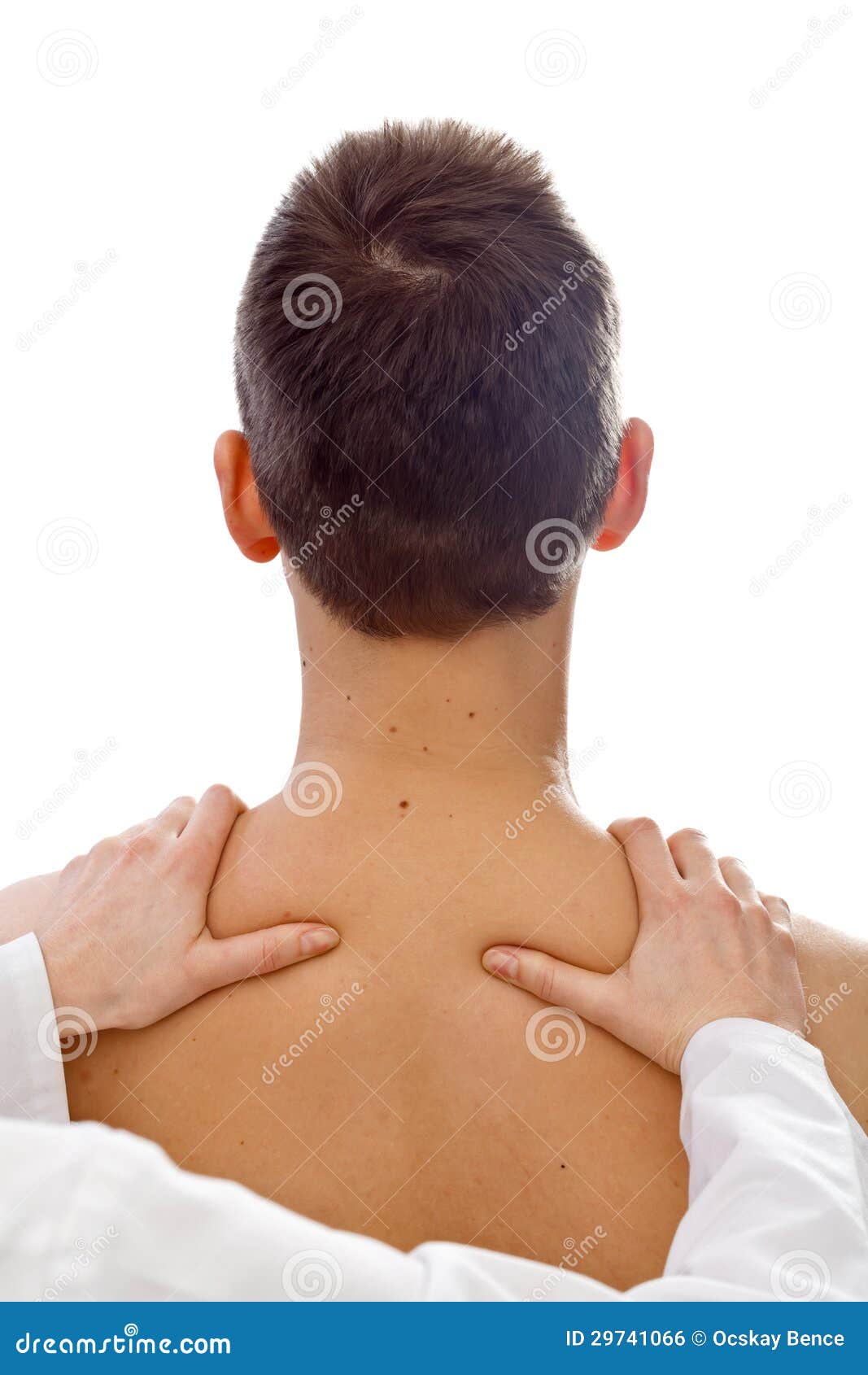 Physical Examination of the Thorax Stock Photo - Image of medical ...