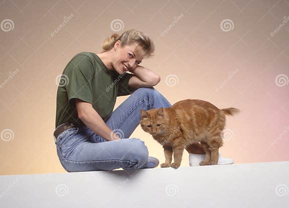Pals stock image. Image of animals, buddies, domestic, companions - 114231