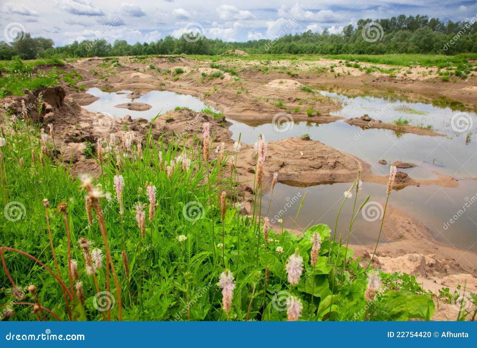 Palude fotografia stock. Immagine di conservazione, nessuno - 22754420