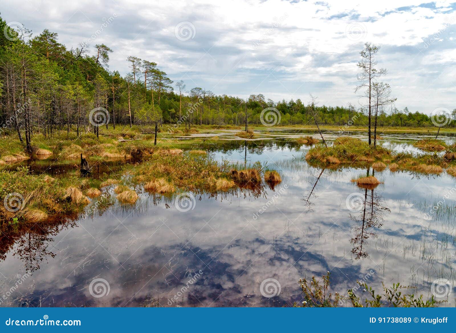 Palude Impenetrabile in Siberia Immagine Stock - Immagine di lago ...