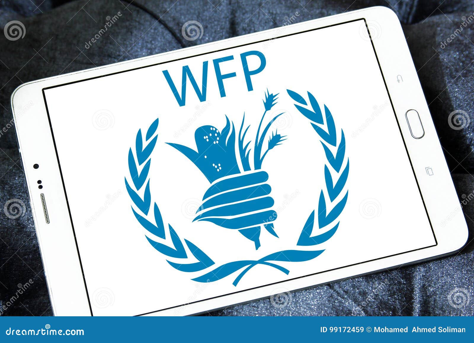 PAM, Logo De Programme Mondial De L'alimentation Image stock éditorial ...