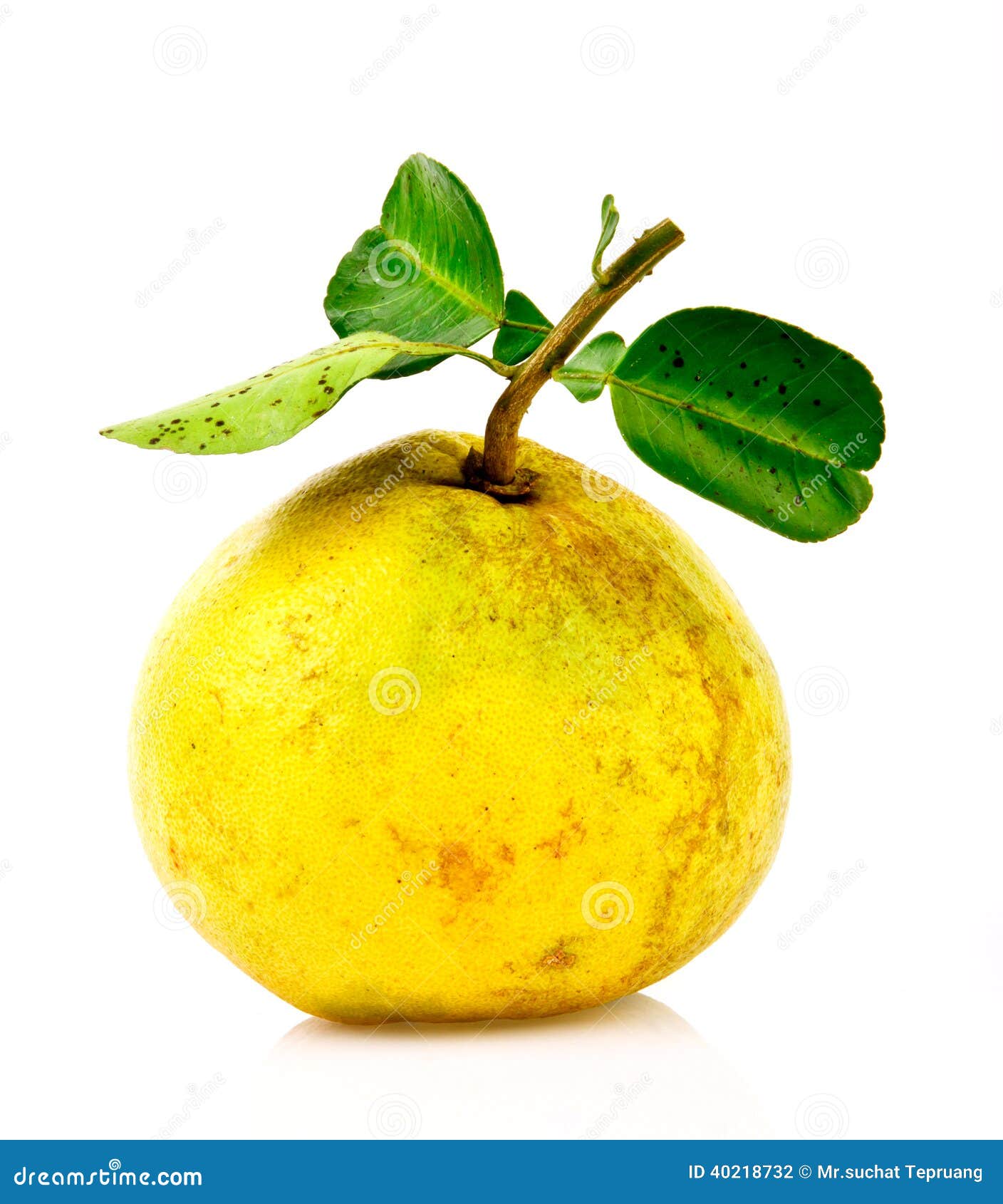 Pamelo in Isolated on White Stock Photo - Image of food, vegetarian ...