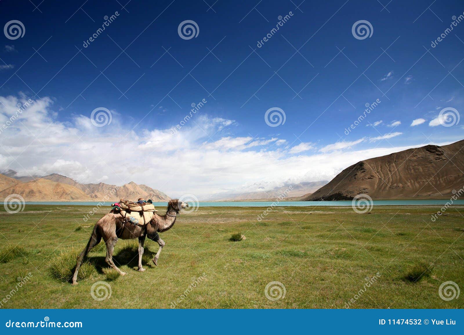 The pamir plateau stock photo. Image of clouds, china - 11474532