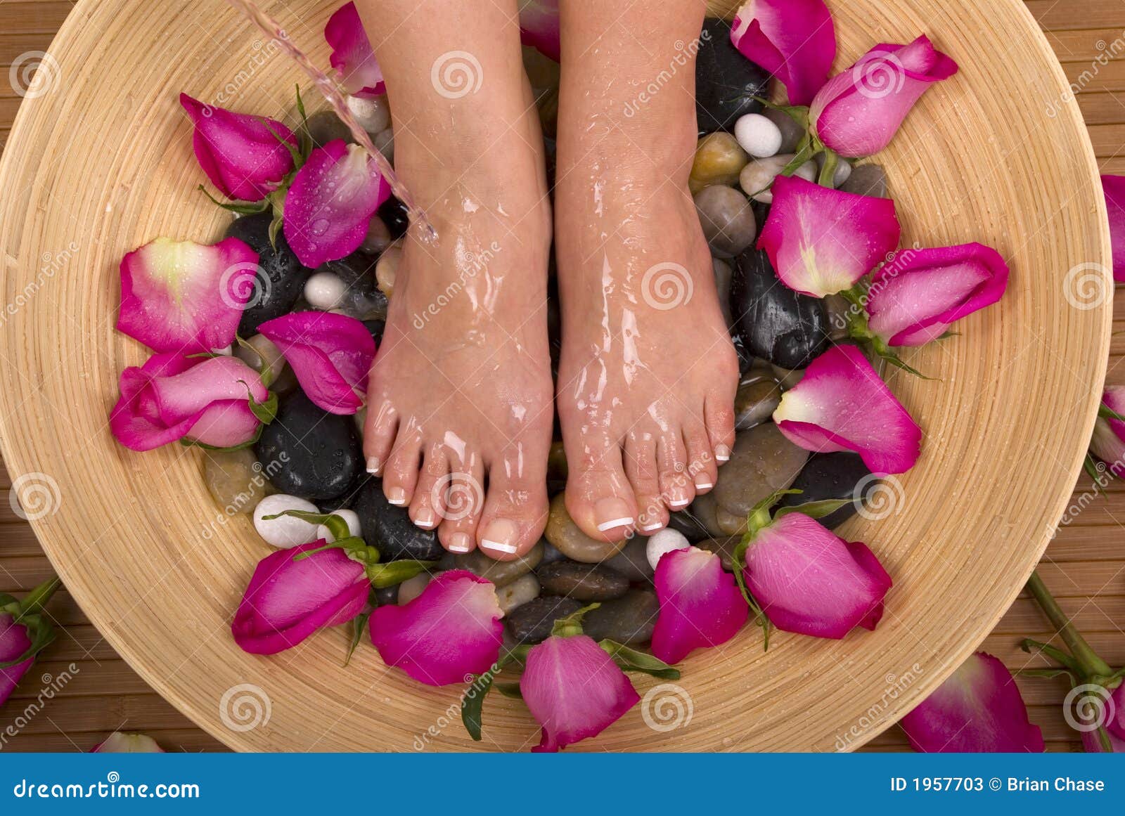 Pampered Feet stock image. Image of nail, flower, botanical - 1957703