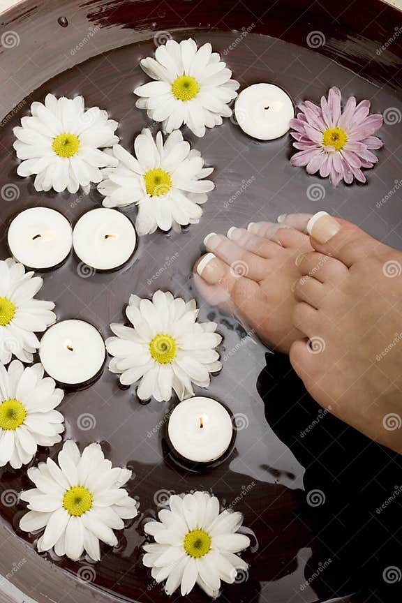 Pampered feet stock image. Image of treatment, clean, flower - 3313461