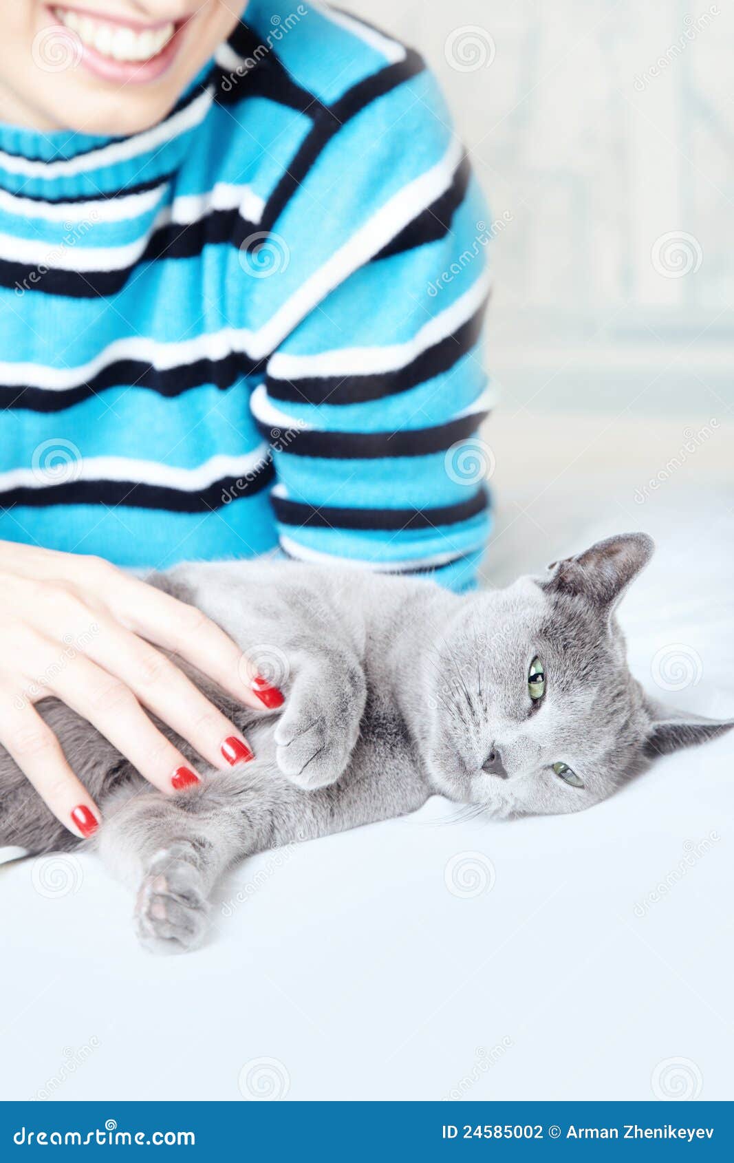 Pampering cat stock photo. Image of eyes, feline, pamper - 24585002
