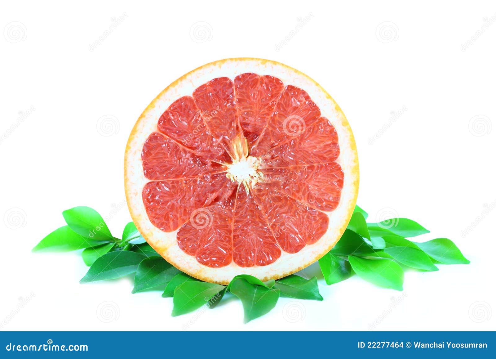 Pamplemousse photo stock. Image du manger, pamplemousse - 22277464