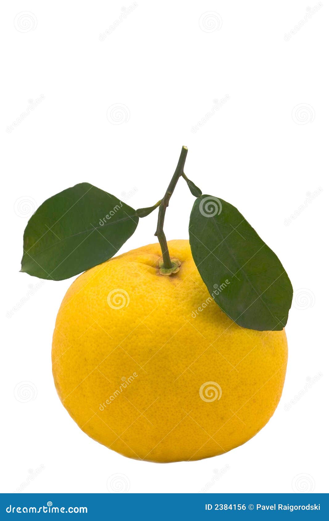 Pamplemousse photo stock. Image du vert, vivacité, sain - 2384156