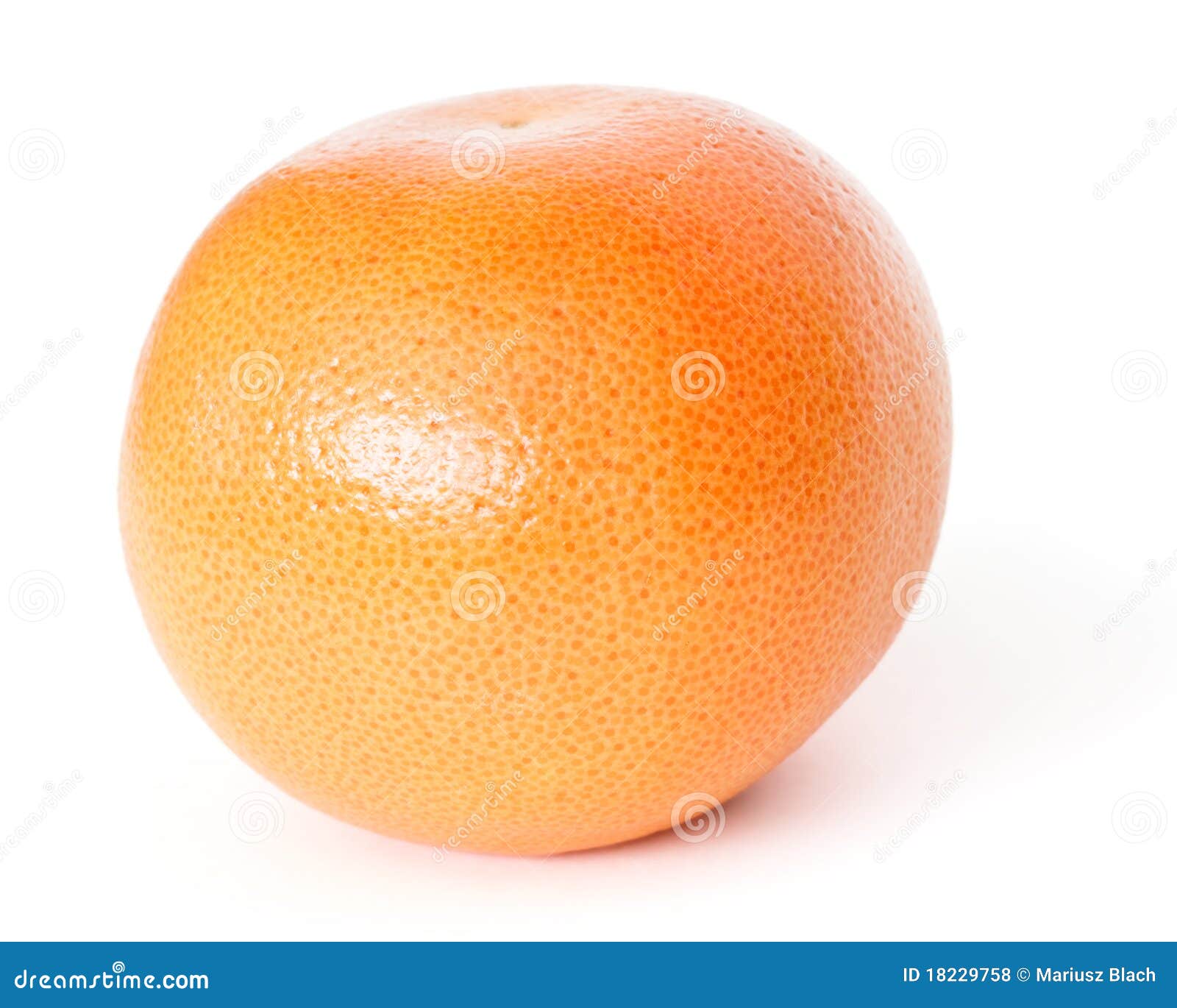 Pamplemousse entier photo stock. Image du fond, blanc - 18229758
