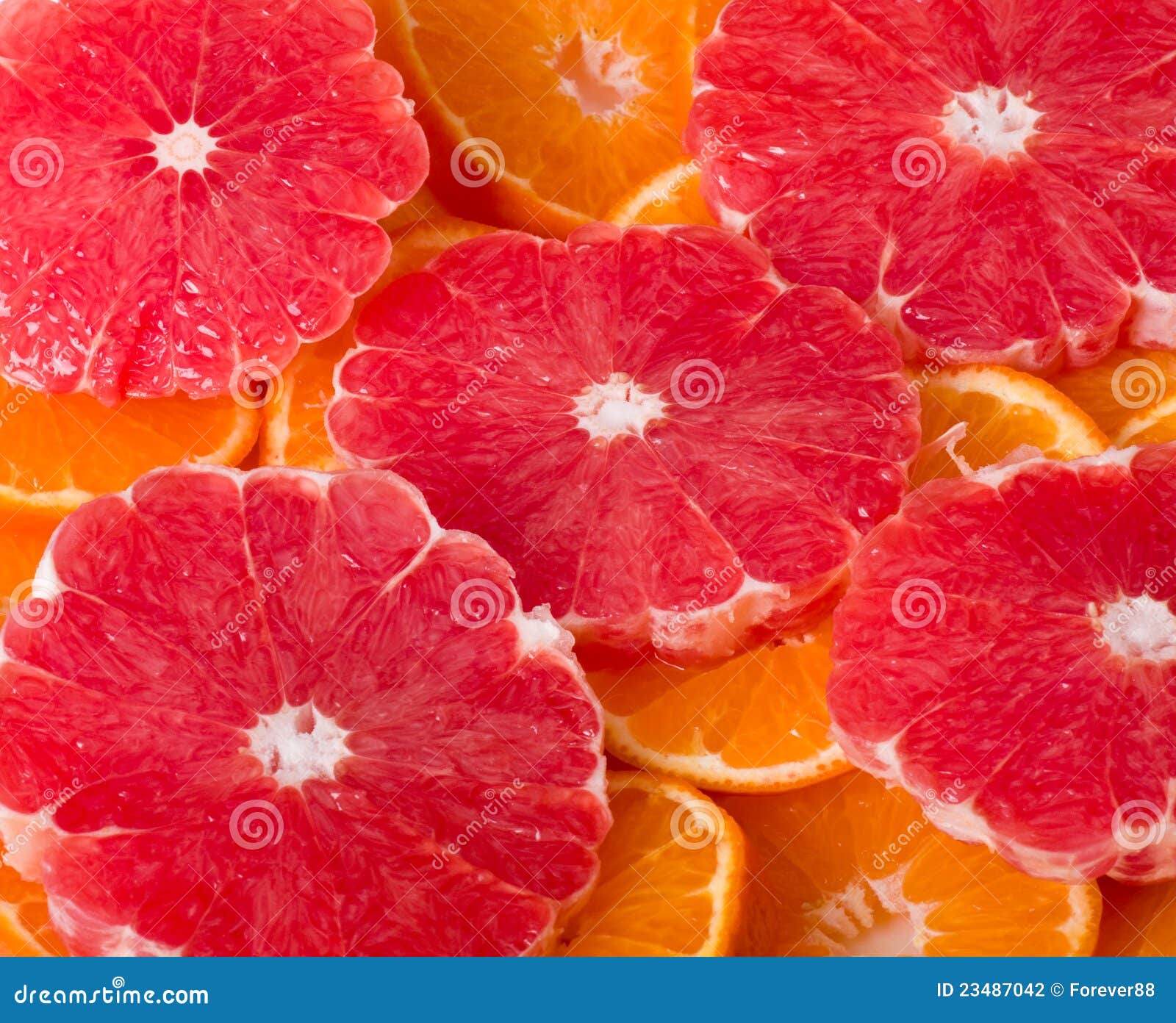 Pamplemousse et orange photo stock. Image du orange, comestible - 23487042