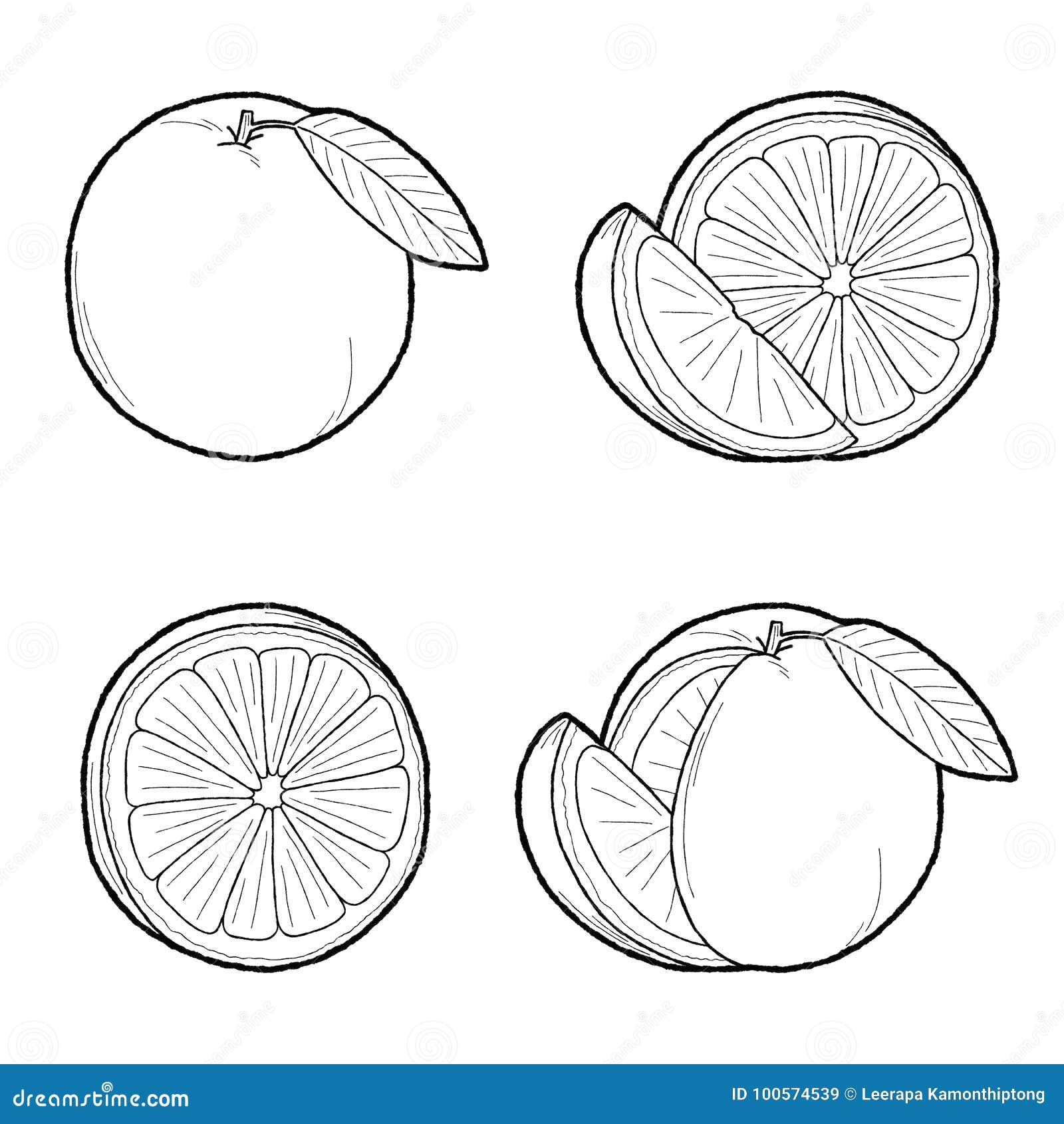 Pamplemousse, orange illustration de vecteur. Illustration of frais ...