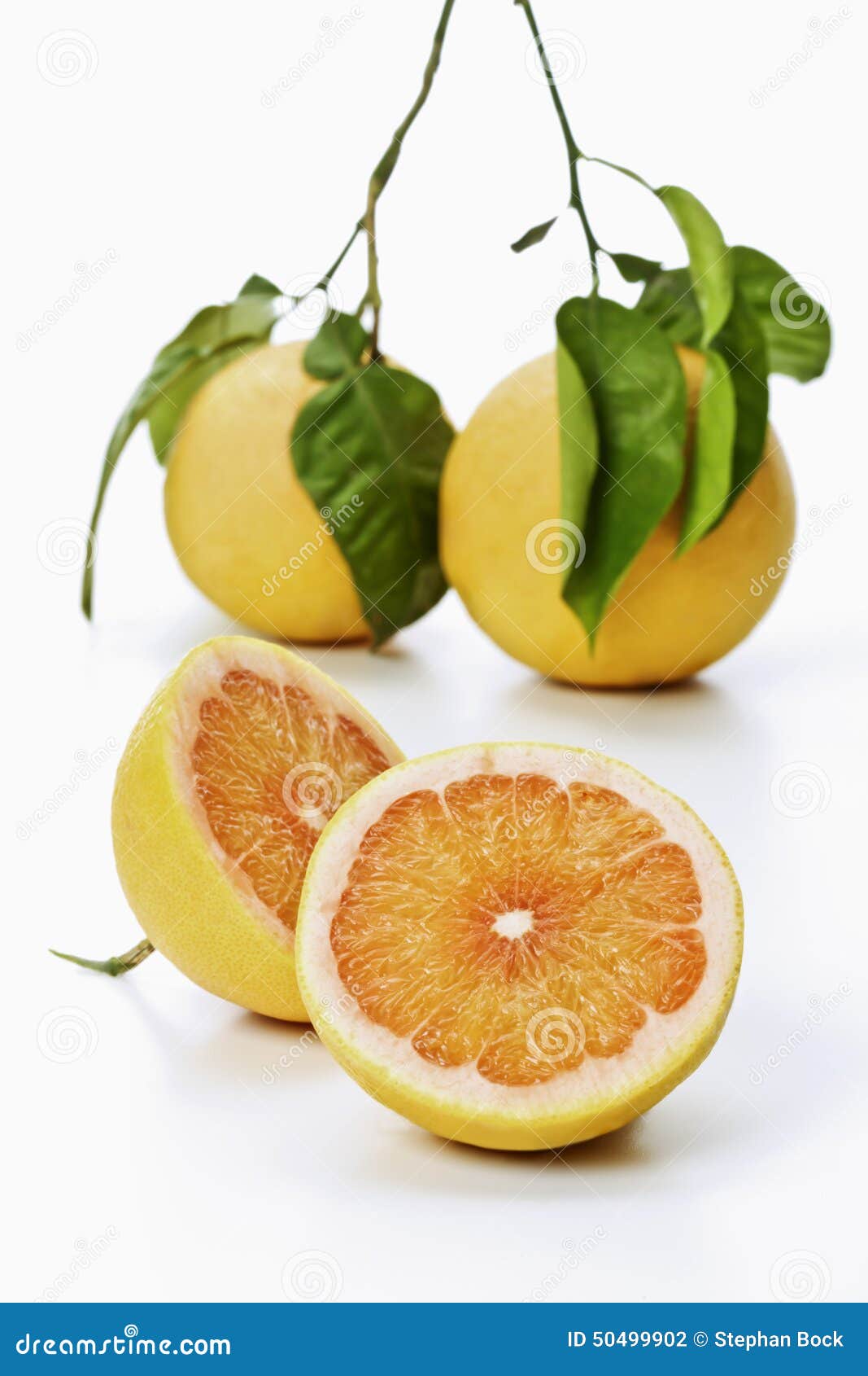 Pamplemousses De Pamplemousse De Tige Et De Feuilles, En Coupe Photo ...