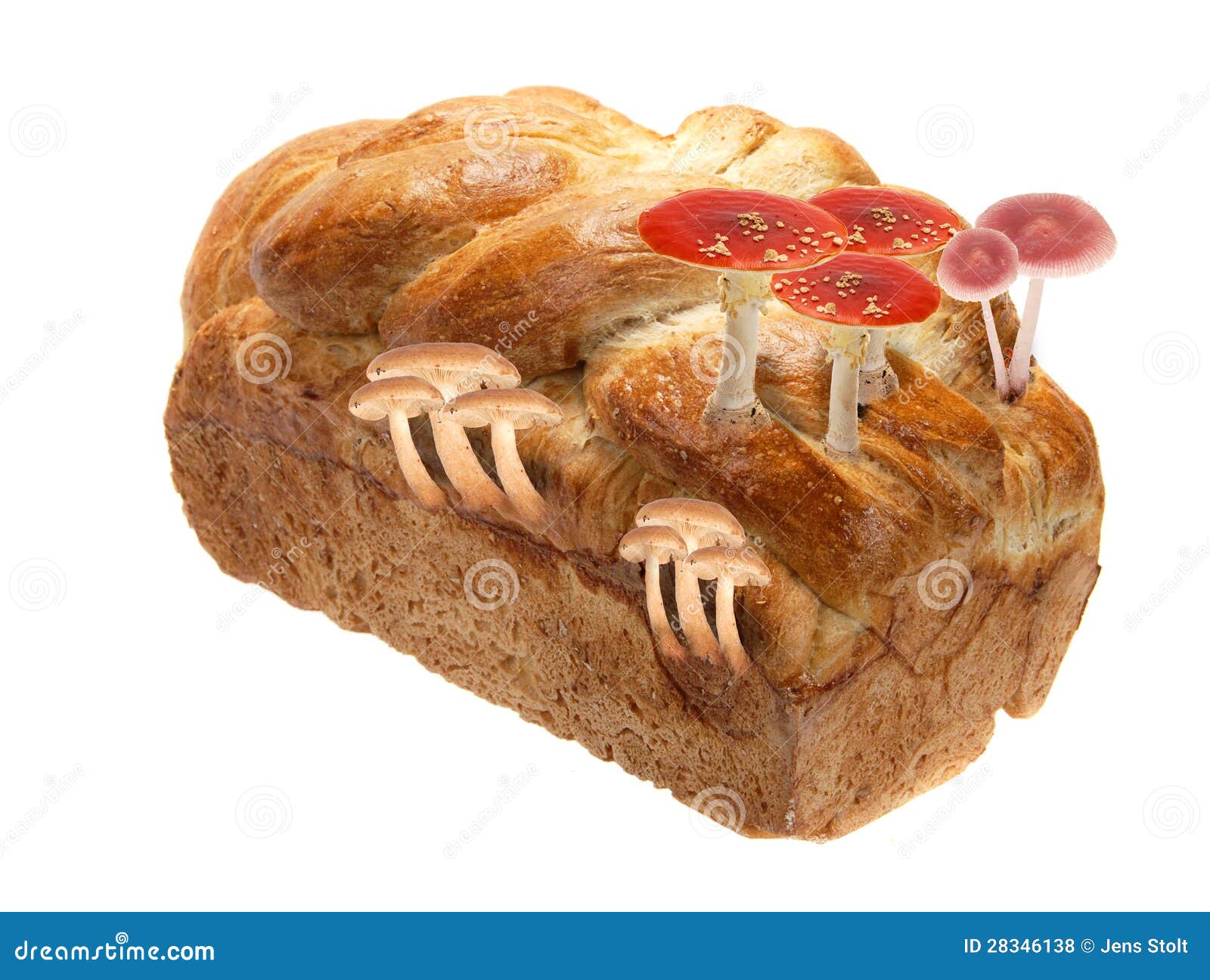 Pan con el hongo foto de archivo. Imagen de copia, viejo - 28346138