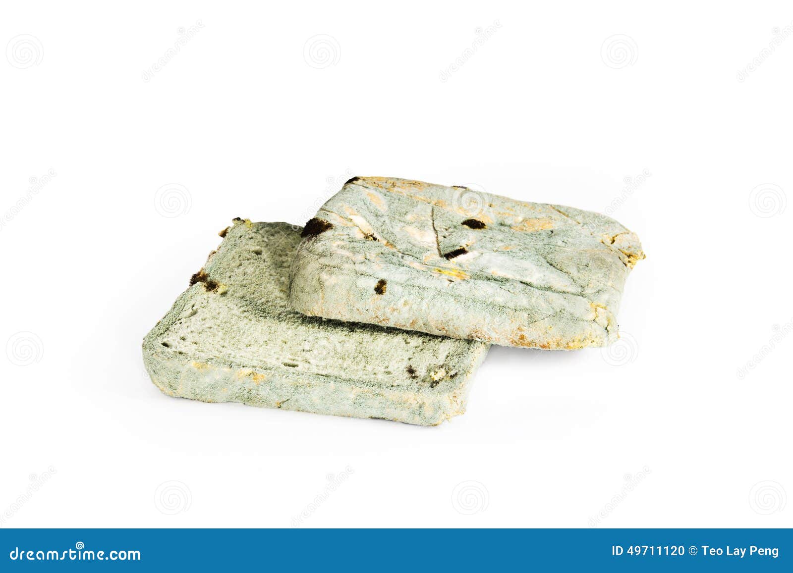 Pan con el hongo foto de archivo. Imagen de bacterias - 49711120