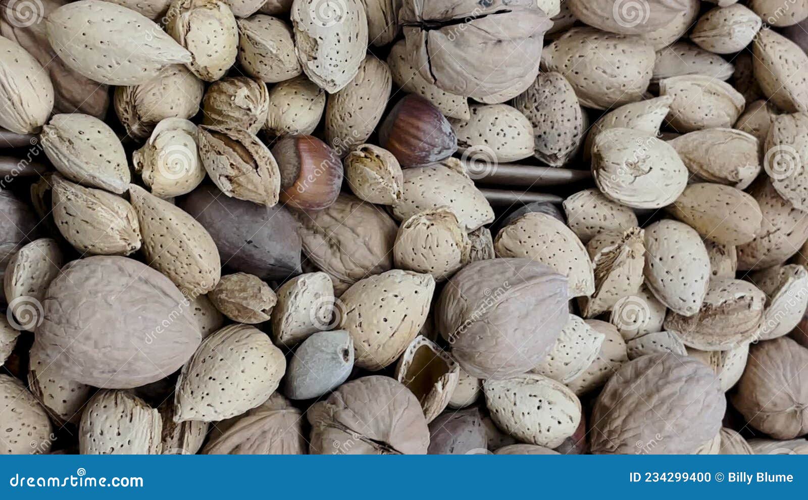 Pan of a Display of Bulk Nuts for the Holidays Stock Footage - Video of ...