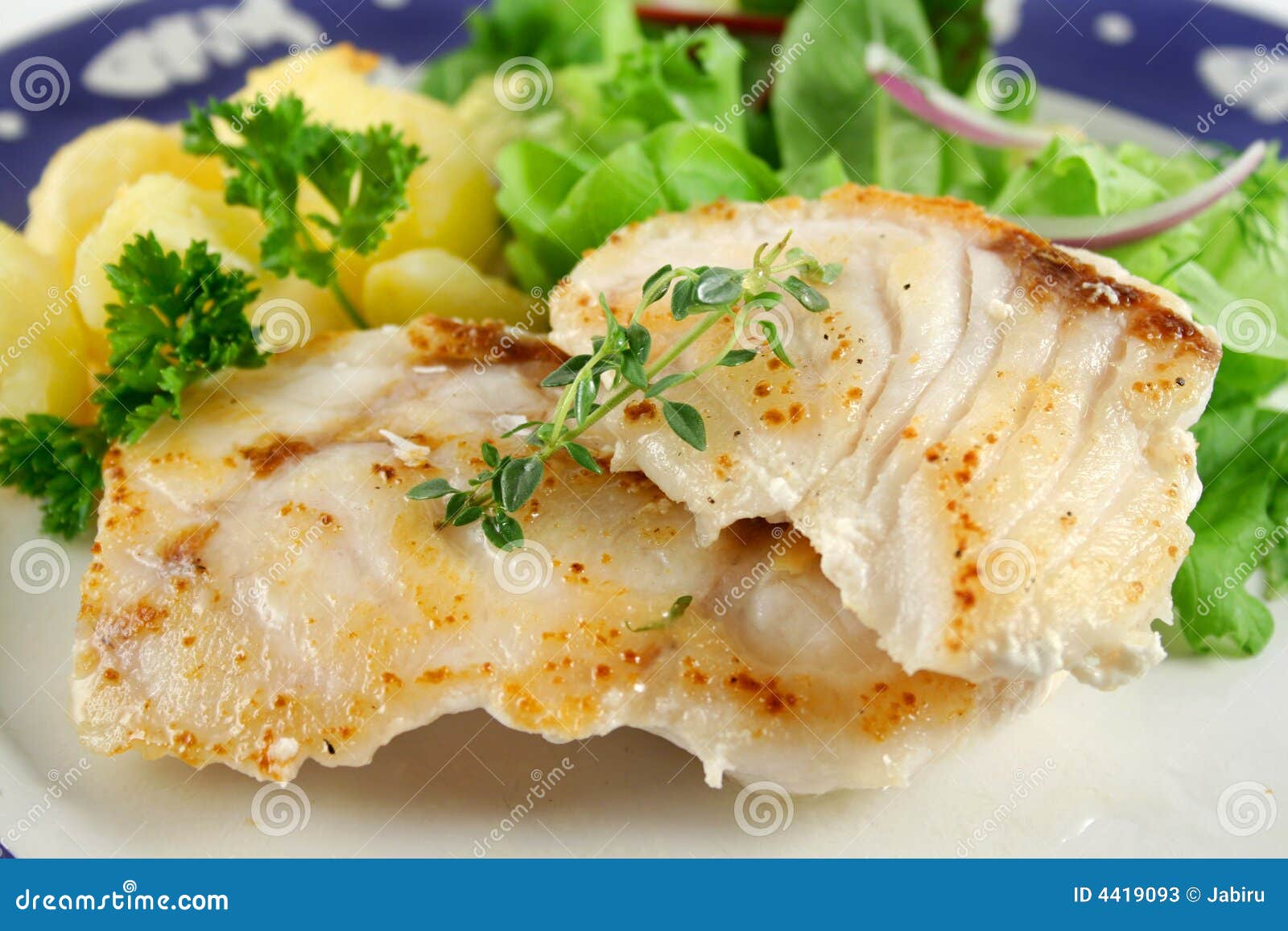 Pan Fried Perch 2 stock image. Image of delectable, main - 4419093