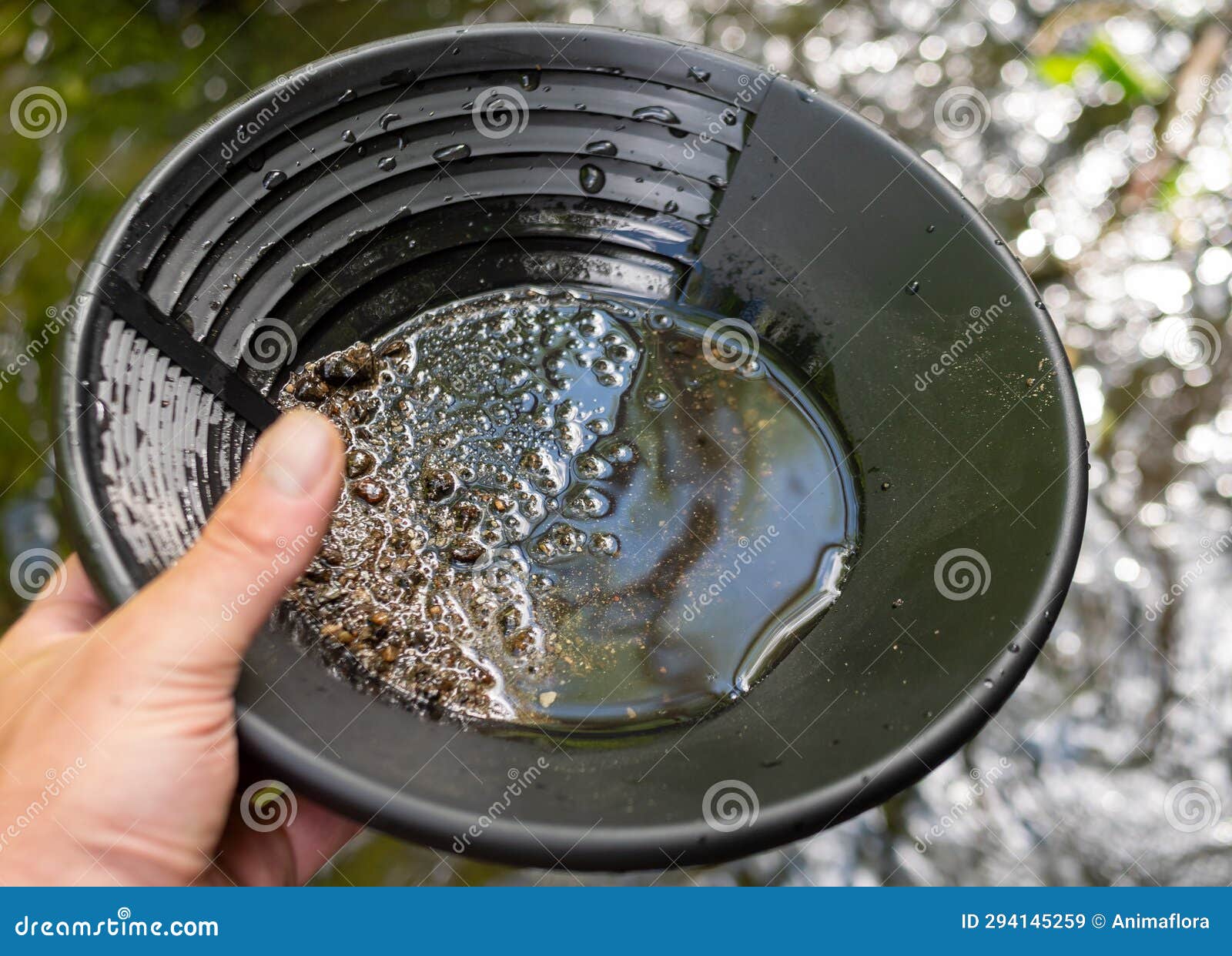 Pan for Gold Panning in the River Stock Image - Image of gold ...
