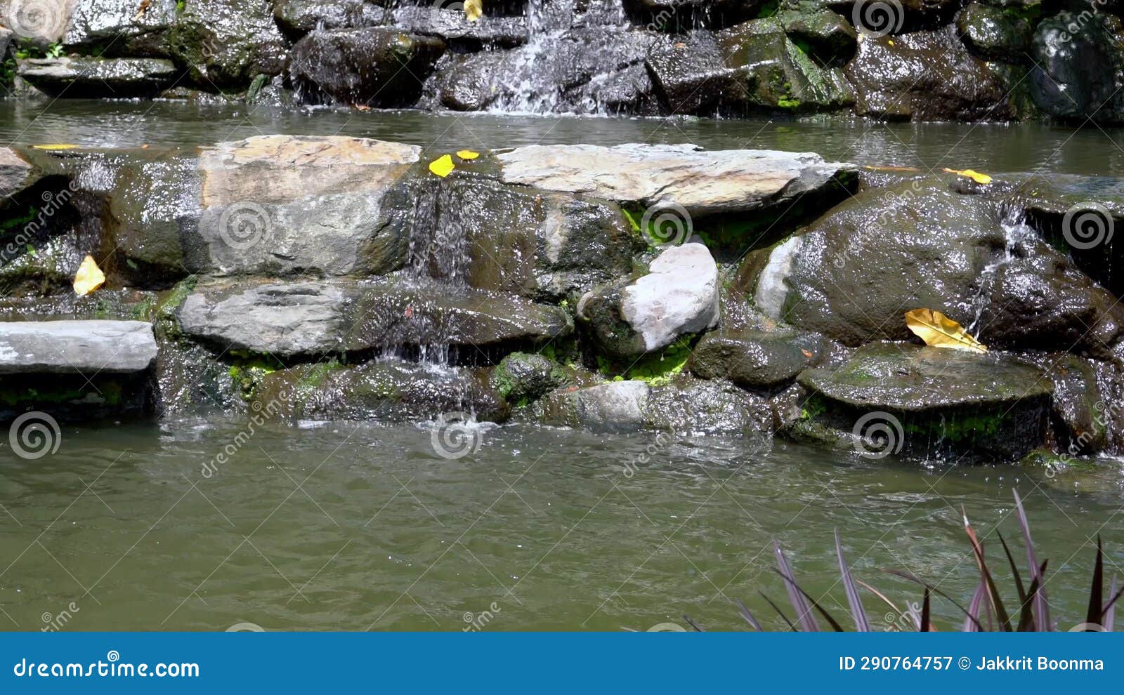 A Pan Right Camera Movement a Water Was Falling, Environment Concept ...