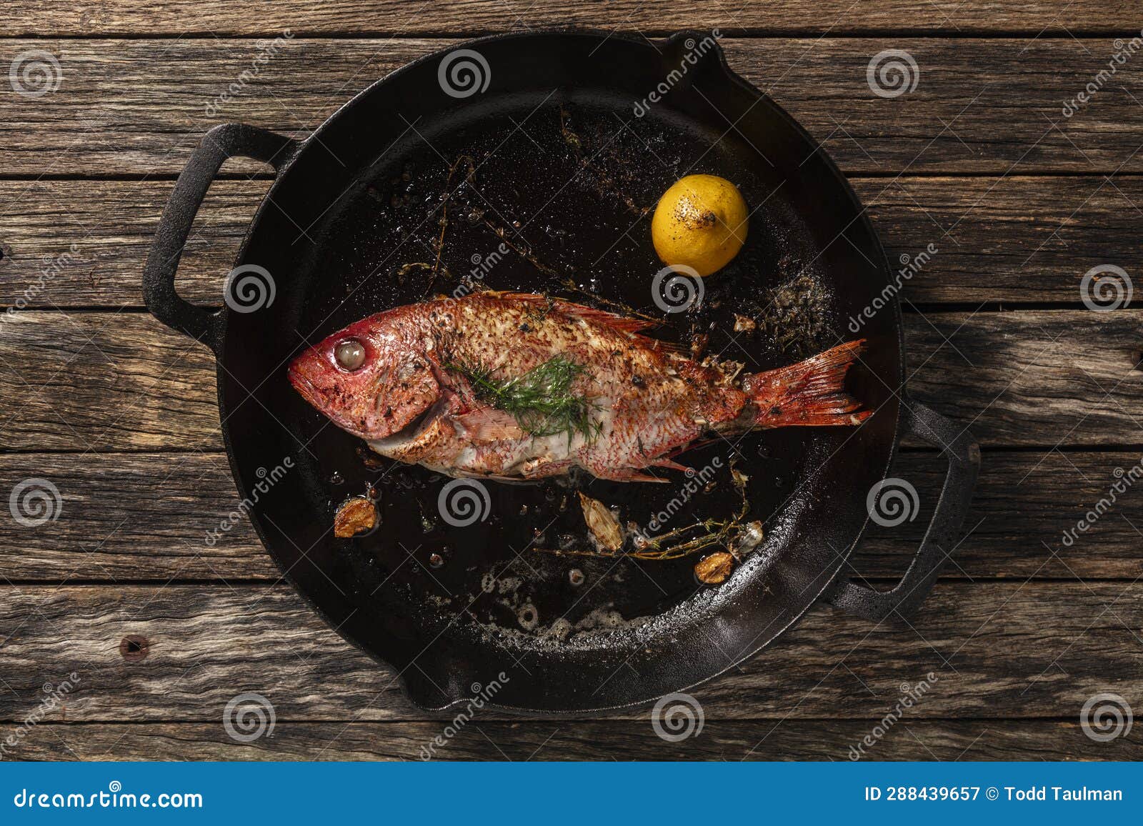 Pan seared red snapper stock image. Image of herb, salt - 288439657