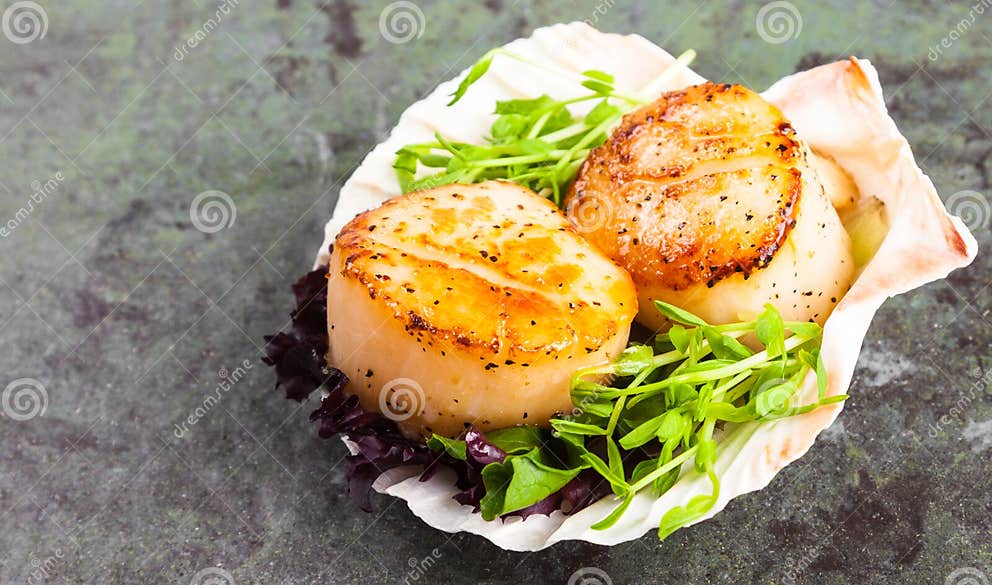 Pan Seared Scallops on a Half Shell Stock Image - Image of shellfish ...