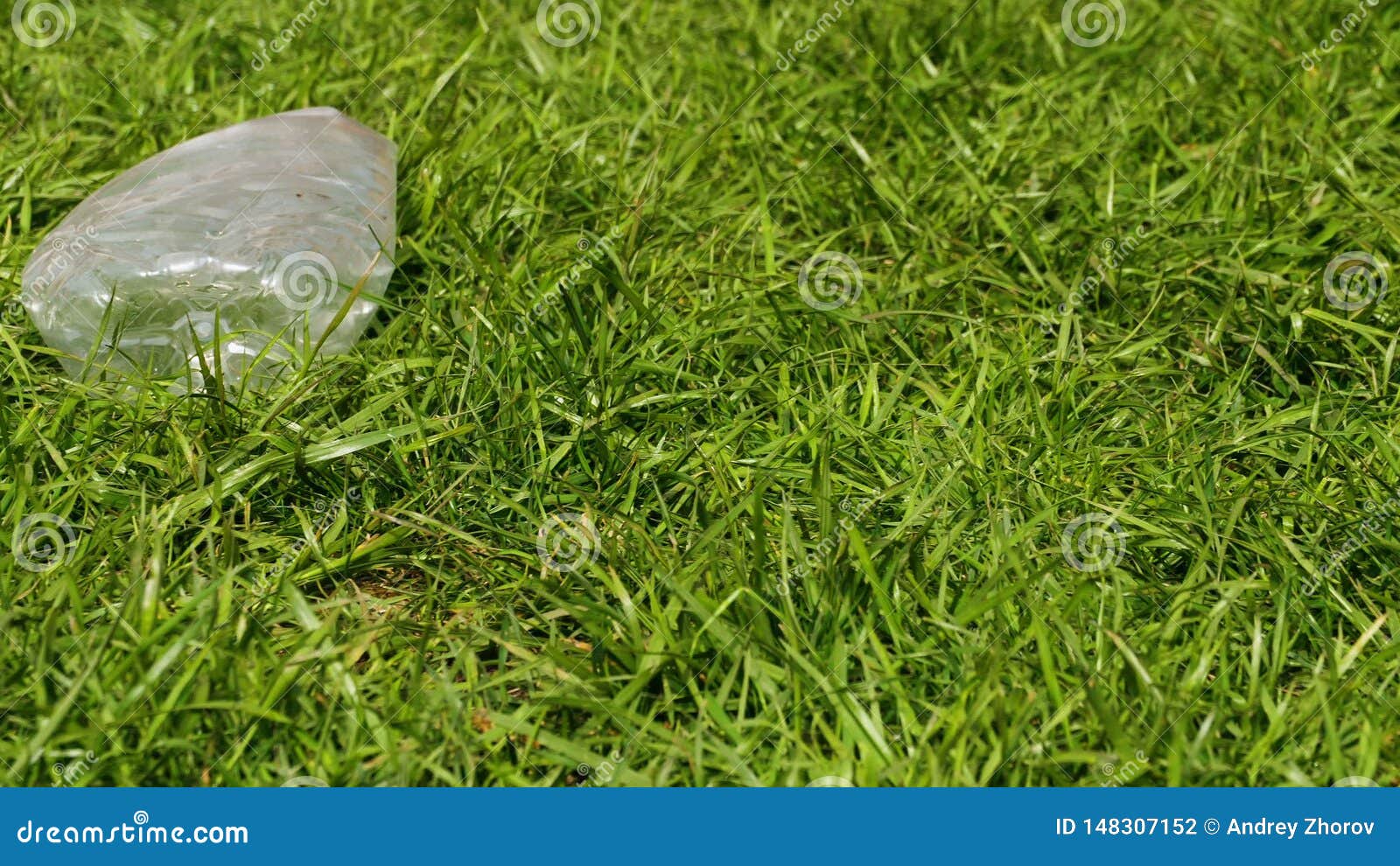 Plastic Bottles Pollute the Lawn Stock Footage - Video of lying ...