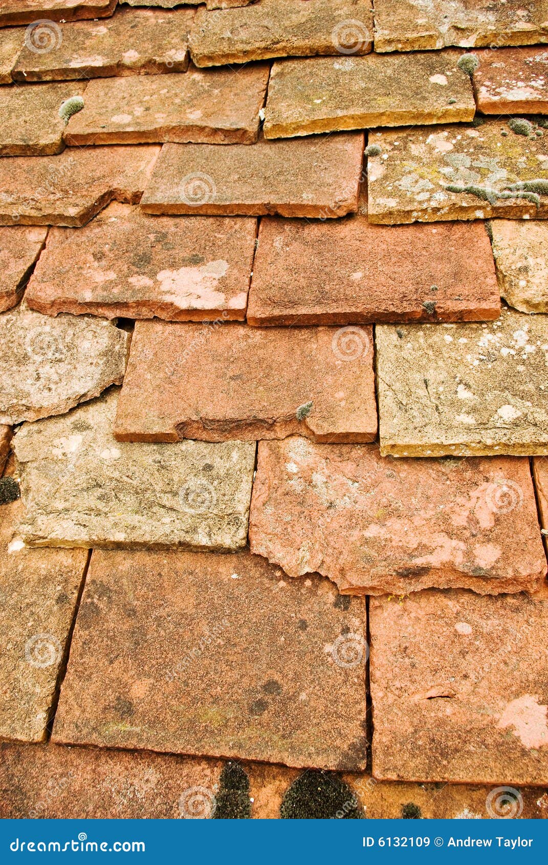 Pan tiles stock image. Image of tiles, line, rustic, roof - 6132109