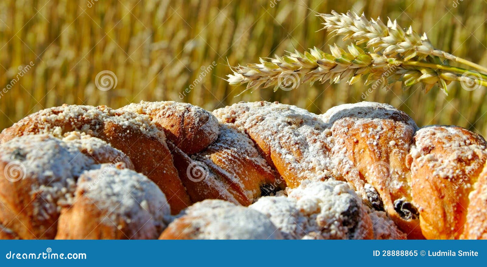 Pan y punto. imagen de archivo. Imagen de maduro, verano - 28888865