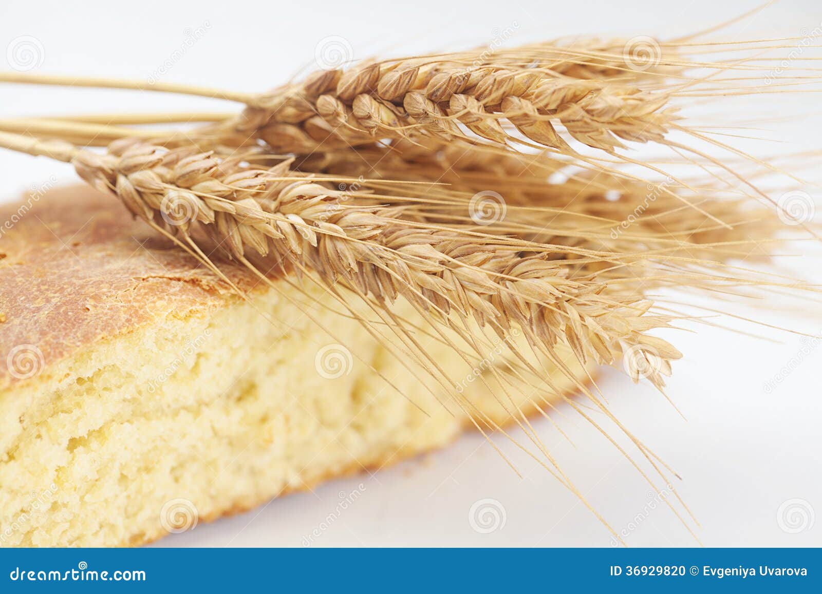 Pan y puntos foto de archivo. Imagen de cosecha, alimento - 36929820