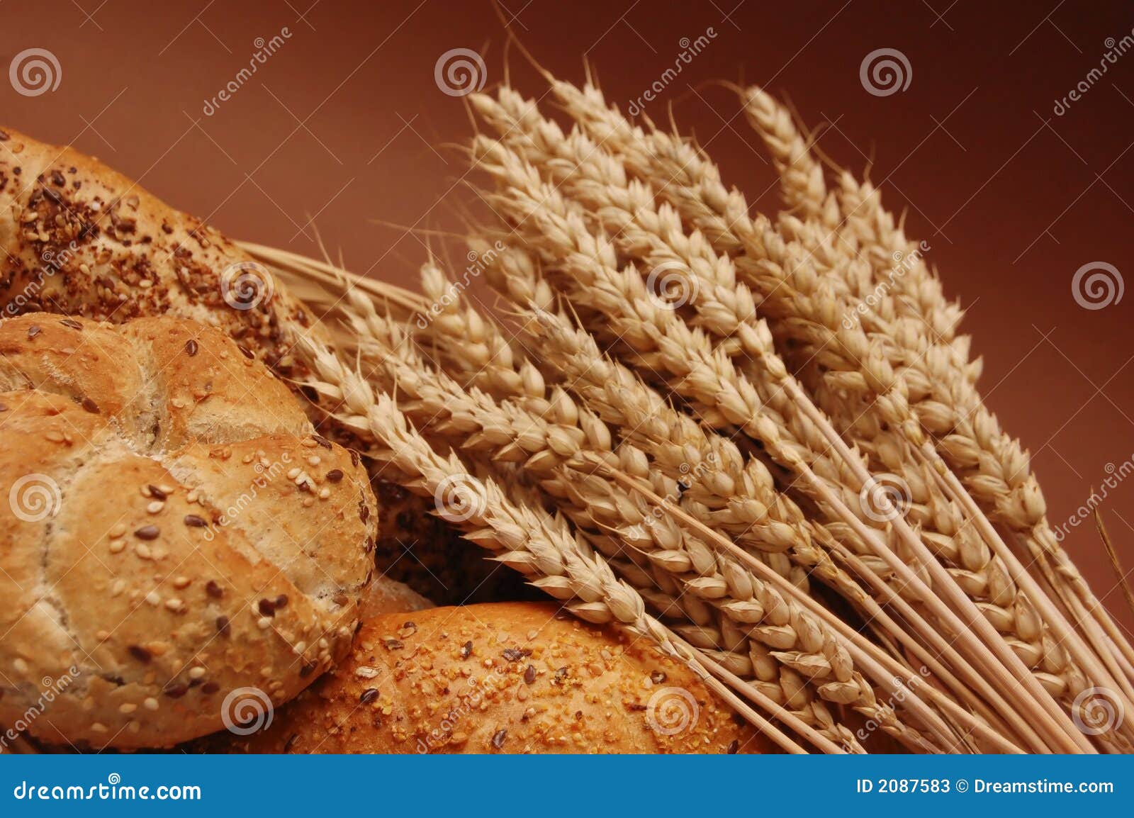 Pan y trigo imagen de archivo. Imagen de baked, cereales - 2087583