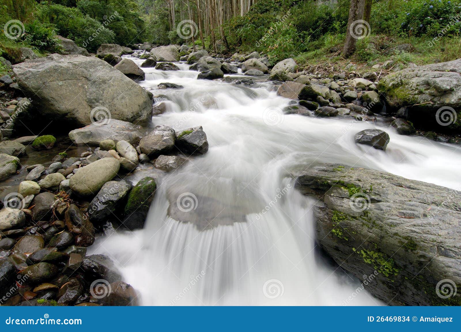 103 Chiriqui Highlands Panama Stock Photos - Free & Royalty-Free Stock ...