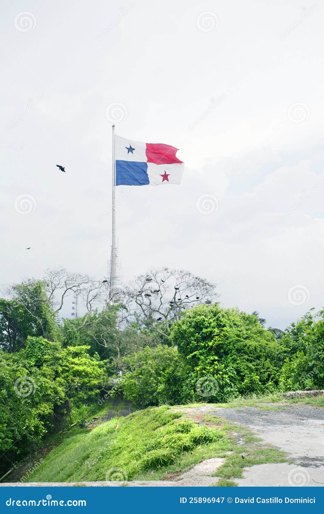 Panama Flag Pin On World Map Royalty-Free Stock Photo | CartoonDealer ...