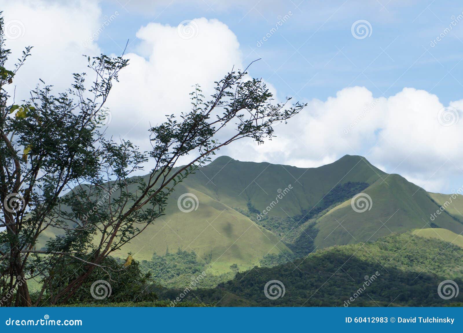 Panama Landscape - Green Mountains Stock Image - Image of carr, uvas ...