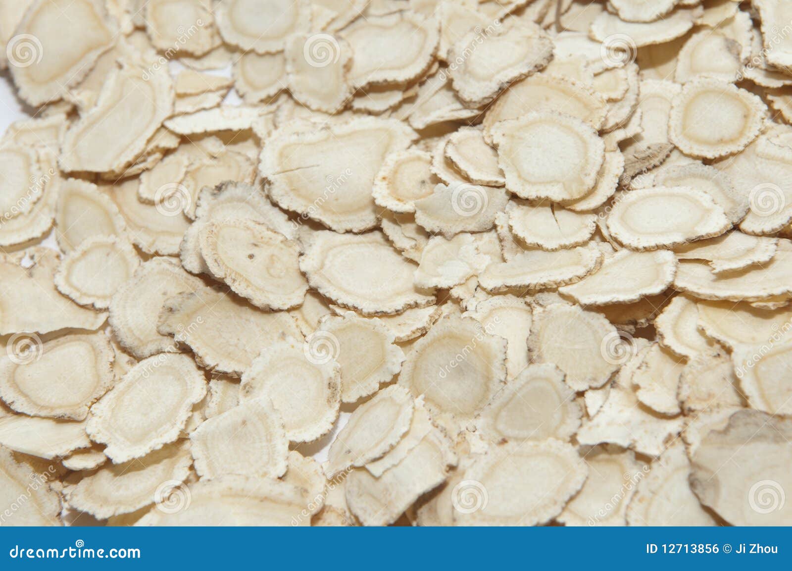 Panax quinquefolius stock photo. Image of medical, natural - 12713856