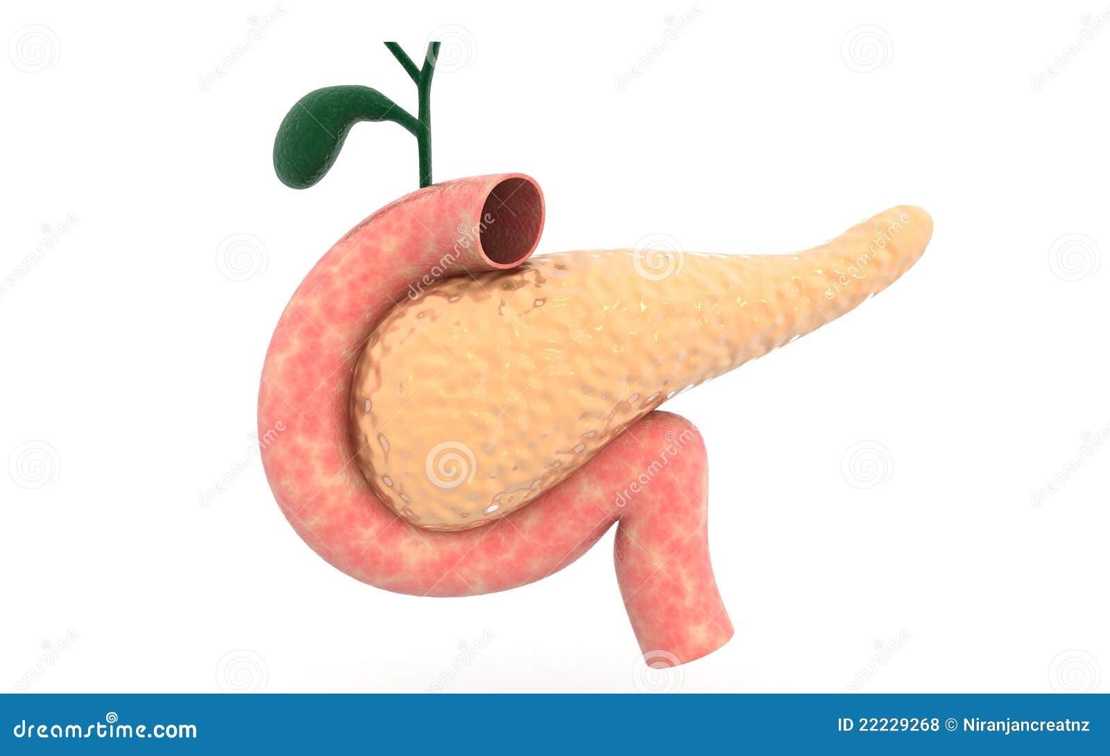 With Juice Pancreas Mascot Cartoon Style Vector Illustration ...
