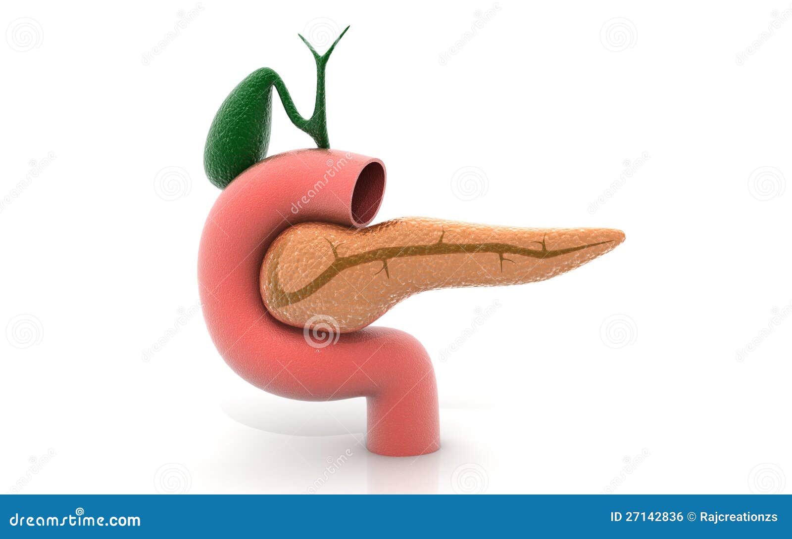 With Juice Pancreas Mascot Cartoon Style Vector Illustration ...