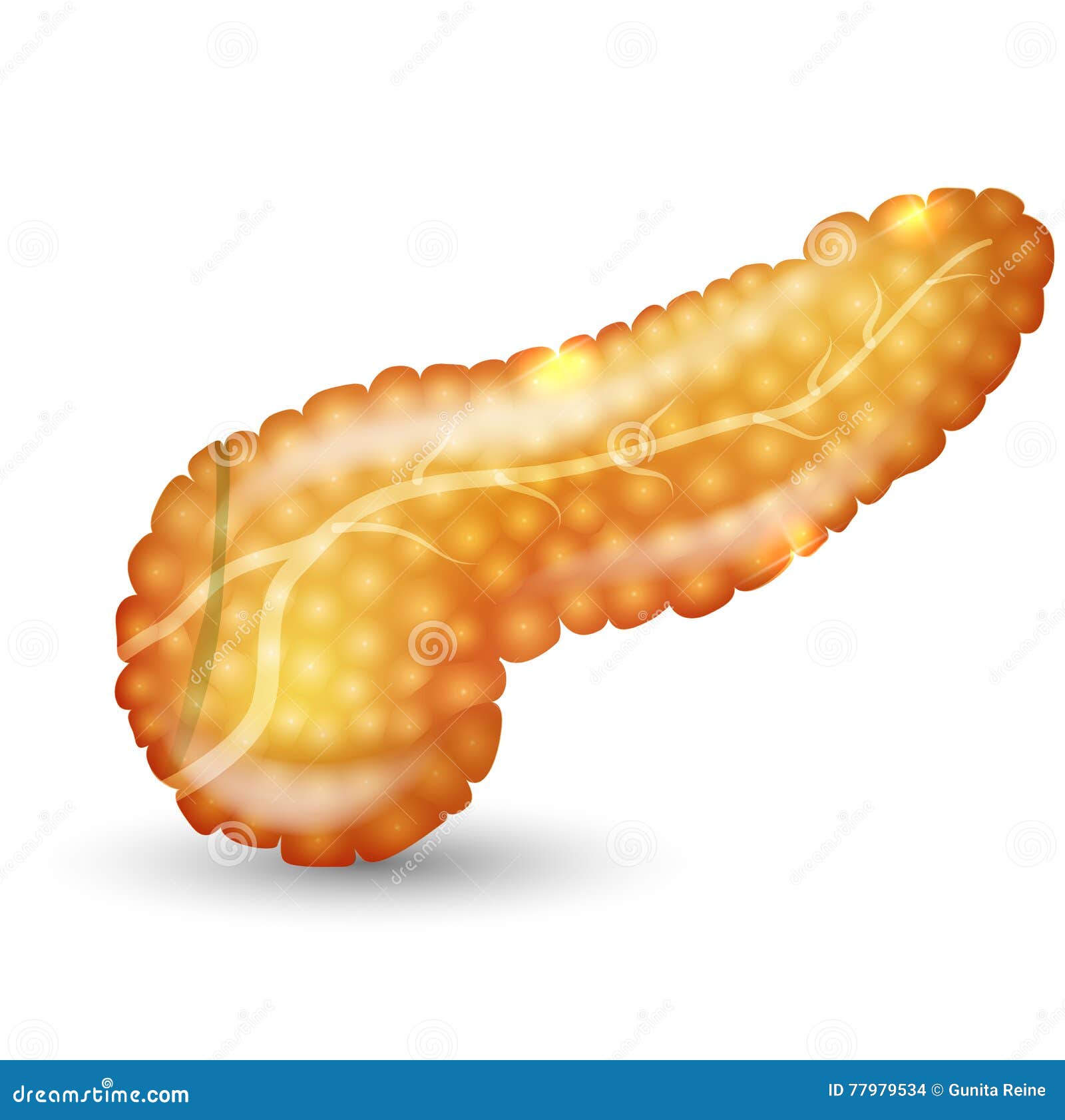 Pancreas Cartoons, Illustrations & Vector Stock Images - 12201 Pictures ...