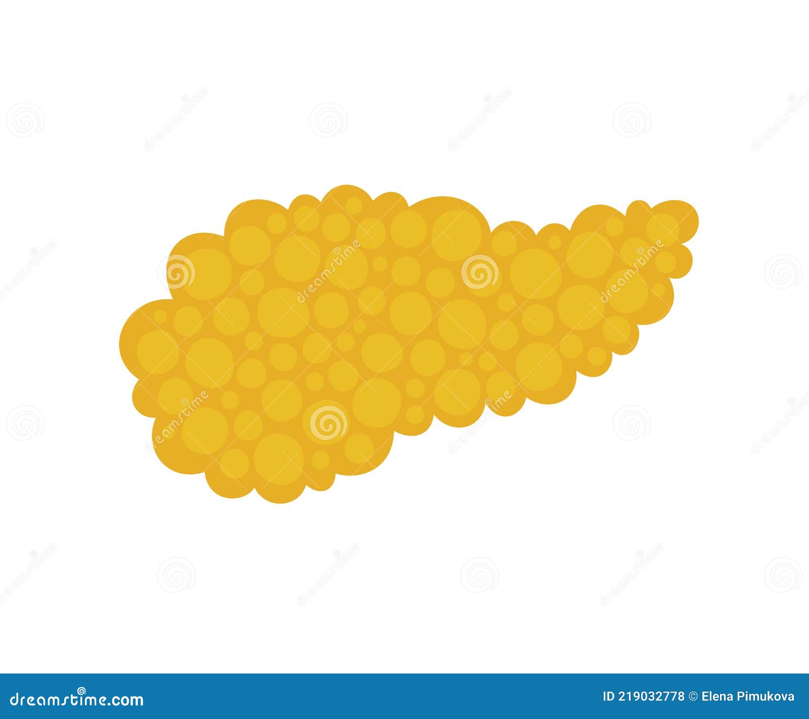 Pancreas in Flat Style. Drawing of a Healthy Pancreas Stock Vector ...