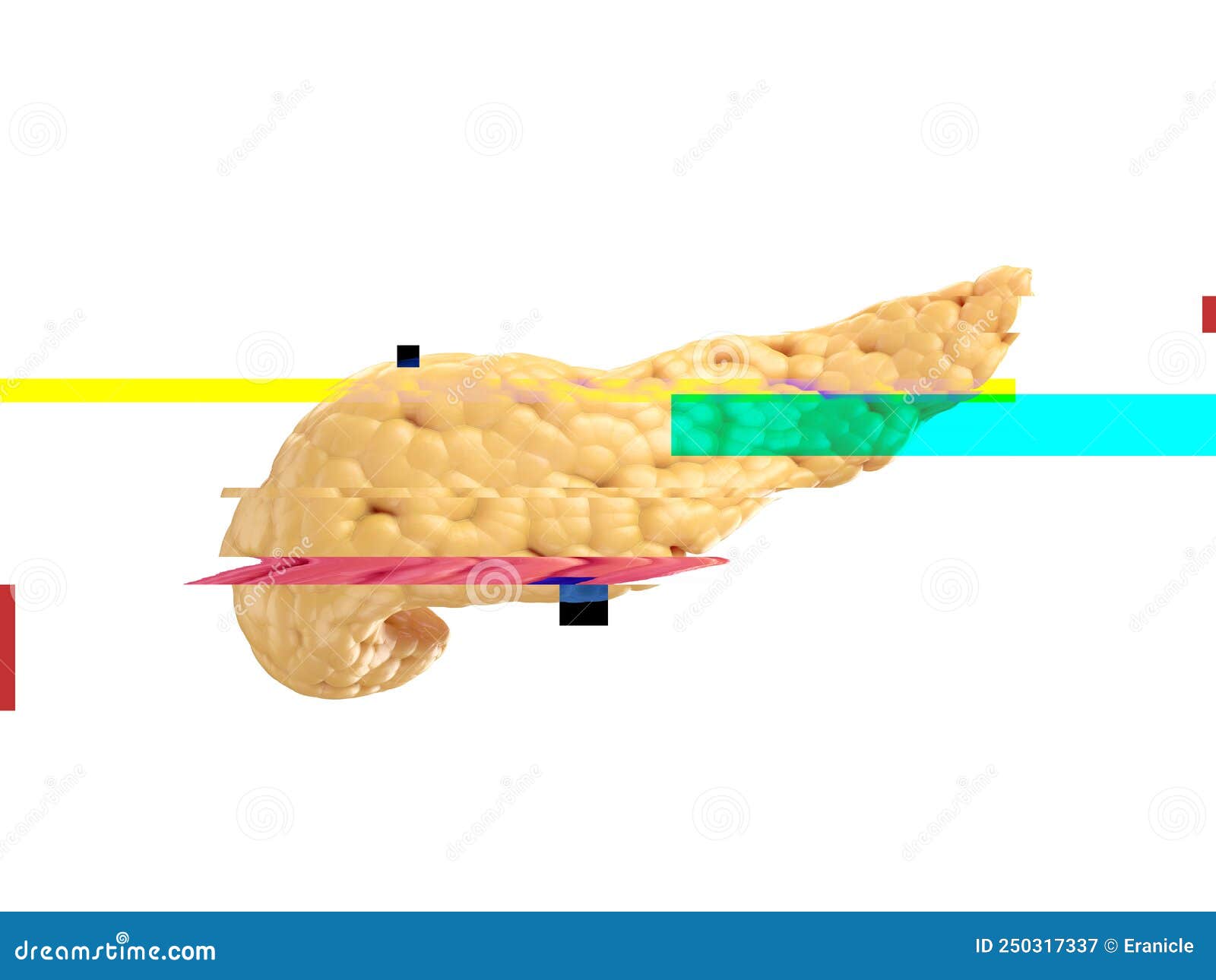 Pancreas Pixel Art. Human Internal Organs 8 Bit. Pixelate Anatomy 16bit ...