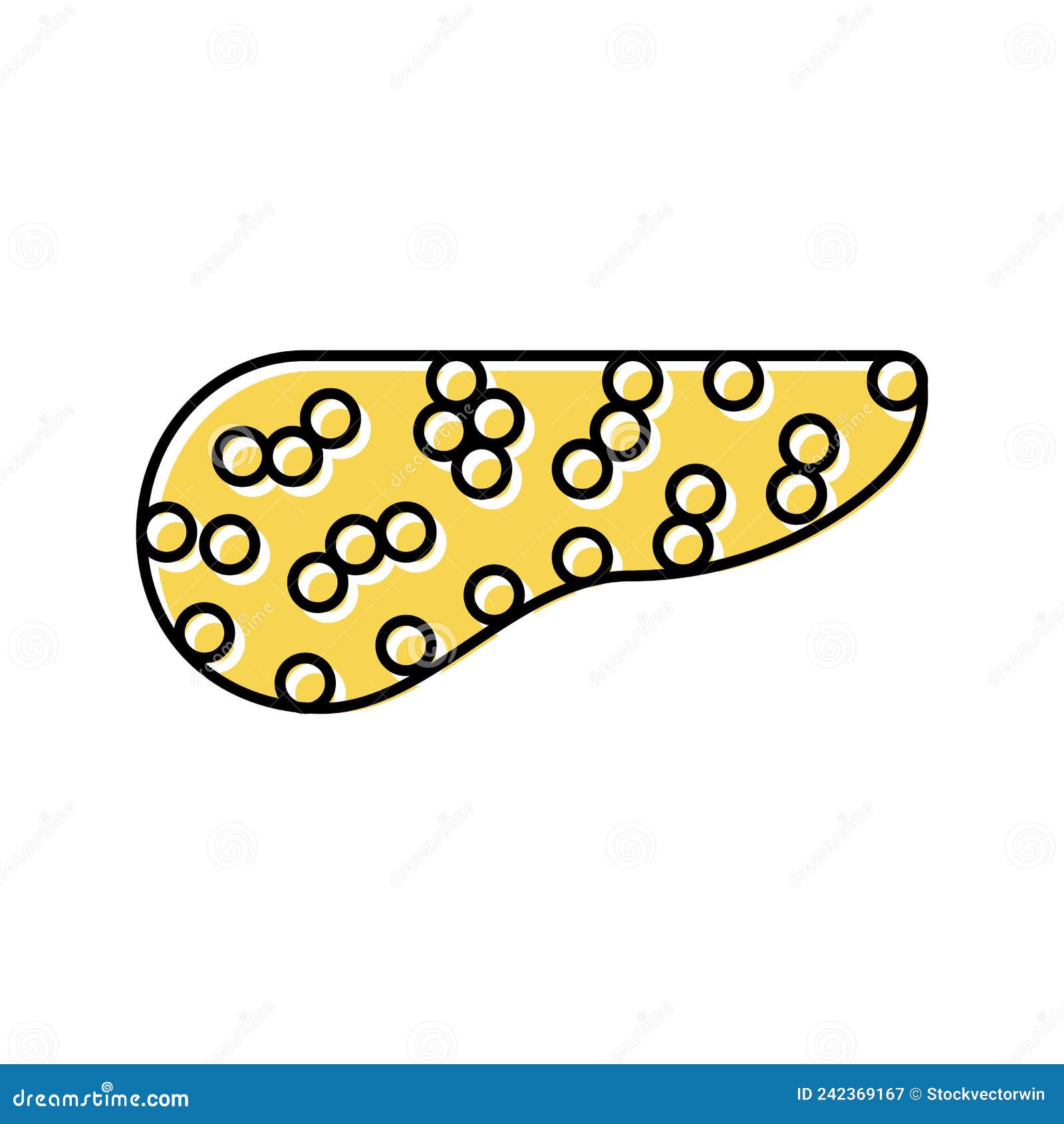 Pancreas, Human Body Organ Isolated On Scientific Background Stock ...