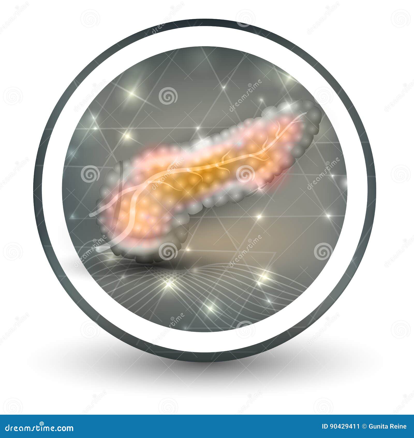 Pancreas Icon Vector Isolated On White Background, Logo Concept ...