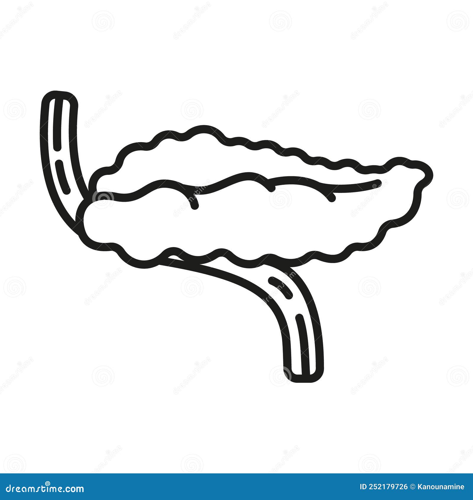 Pancreas Icon In Outline Style Isolated On White Background. Organs ...