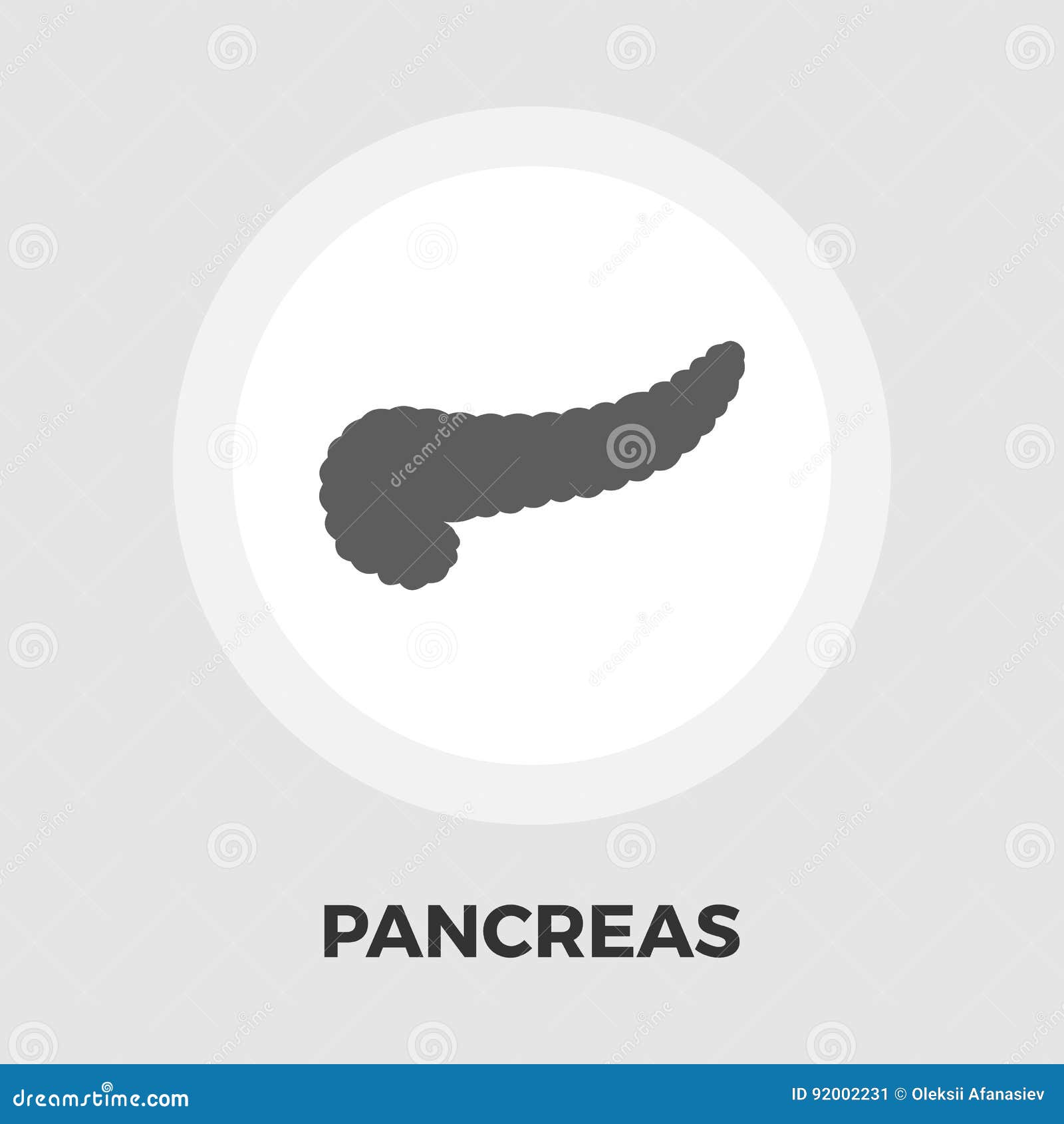 Pancreas Icon Vector Isolated On White Background, Logo Concept ...