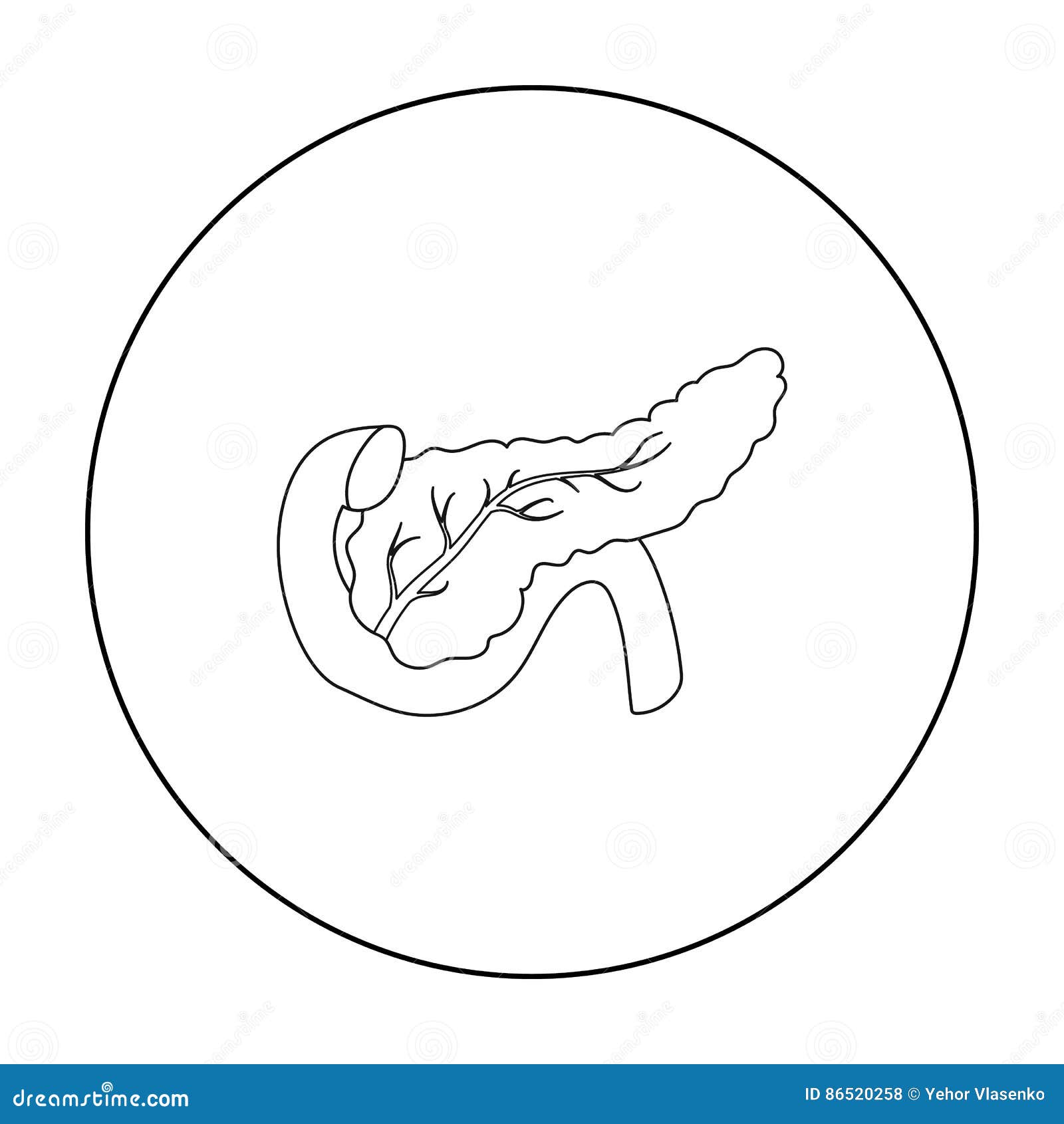 Pancreas Icon In Outline Style Isolated On White Background. Organs ... Pancreas Icon In Outline Style Isolated On White Background. Organs ...