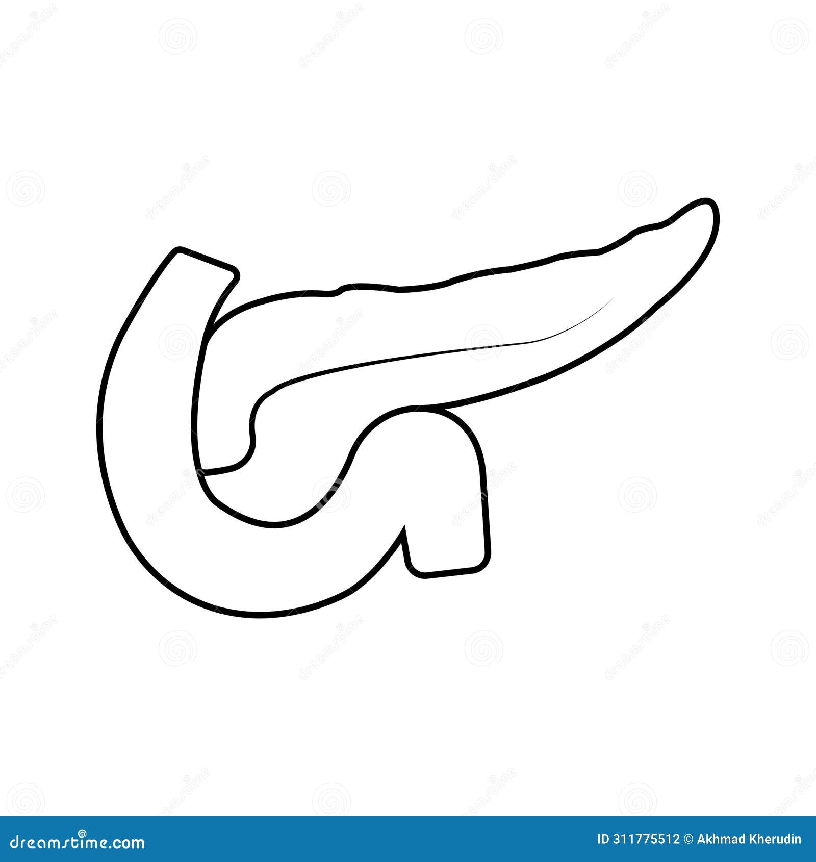 Pancreas icon stock vector. Illustration of biology - 311775512