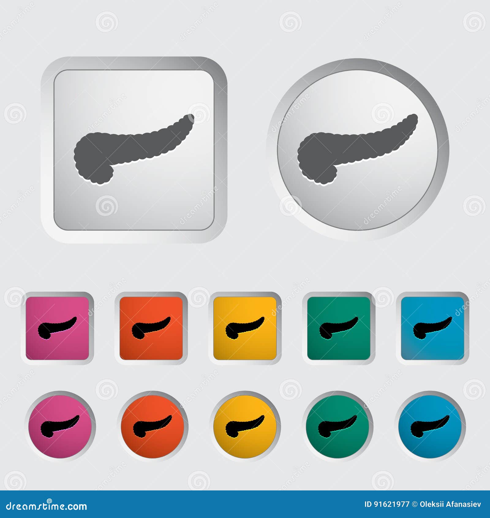 Pancreas icon. stock vector. Illustration of glucose - 91621977
